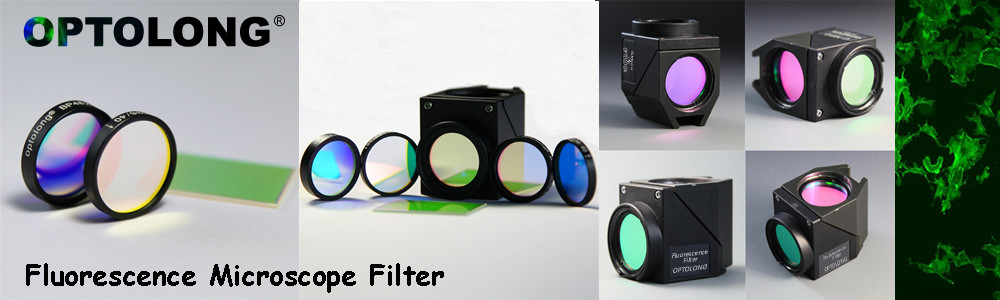 How to choose a right camera for your Fluorescence Microscope ...