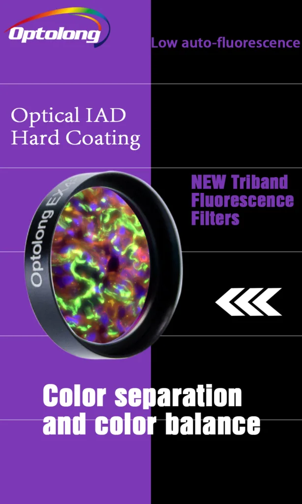 Filters for Fluorescence Microscopy – Optical Filter | Fluorescence ...