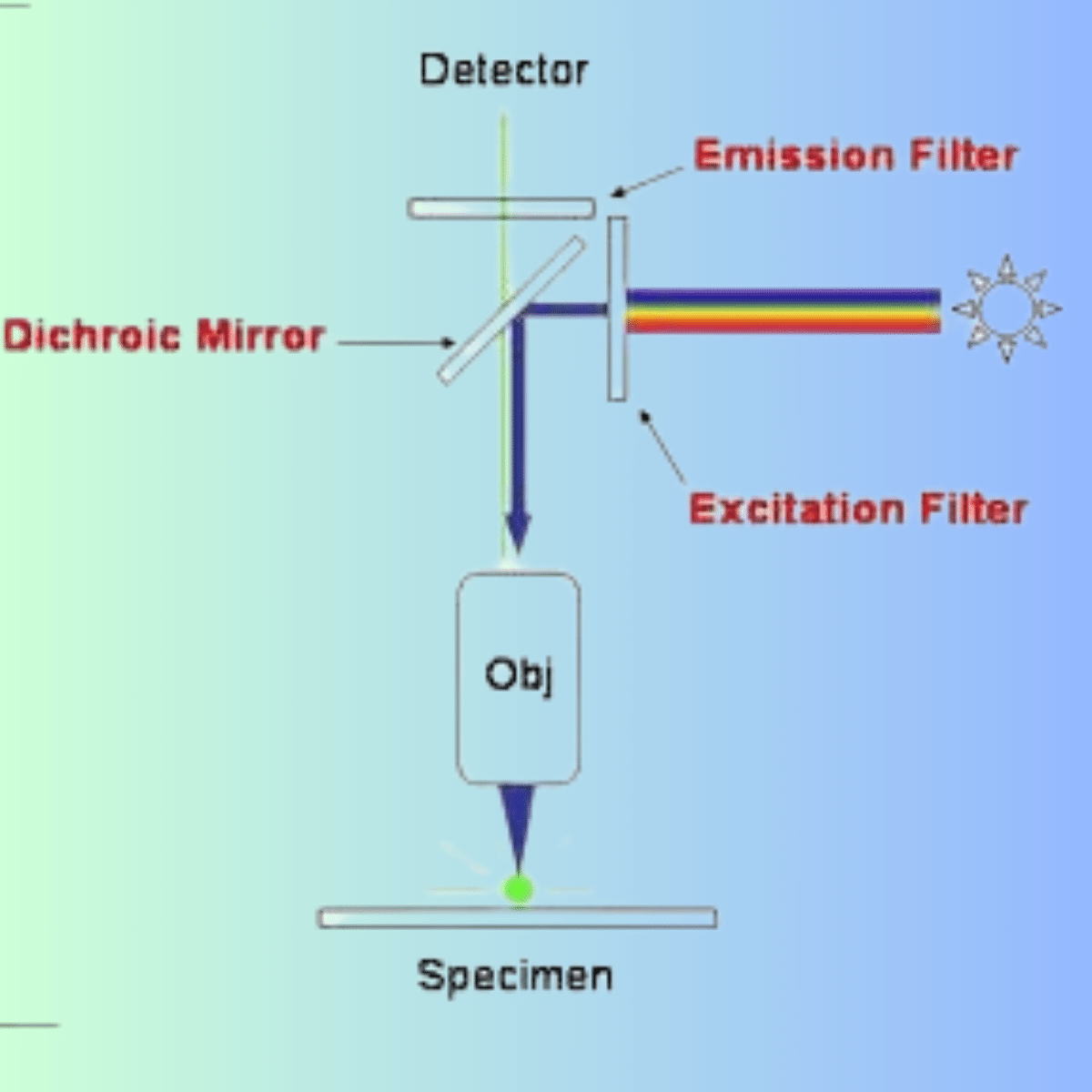 Comparison of Excitation Filters and Emission Filters – Optical Filter ...