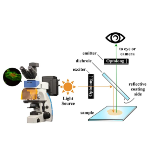 Dichroic Mirrors Vs Beamsplitters Understanding The Differences